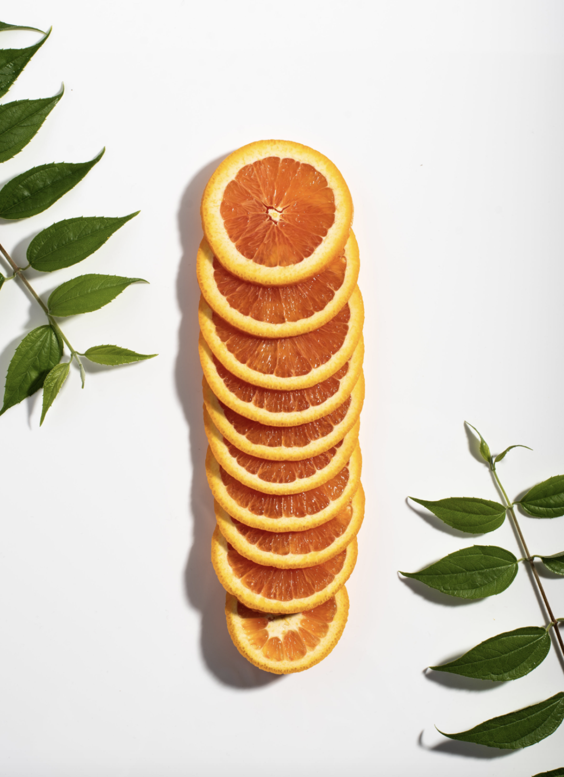 common types of lighting food photography still life