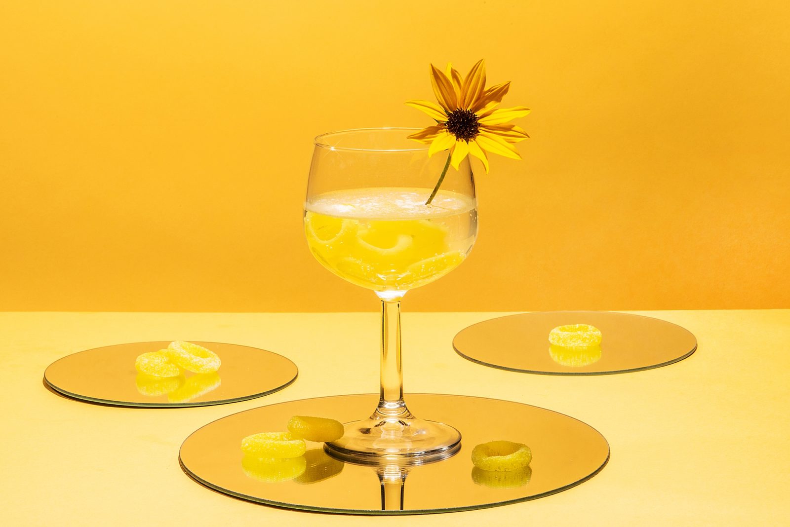 Monochromatic Design for Branding | Why it Works + How to Do It